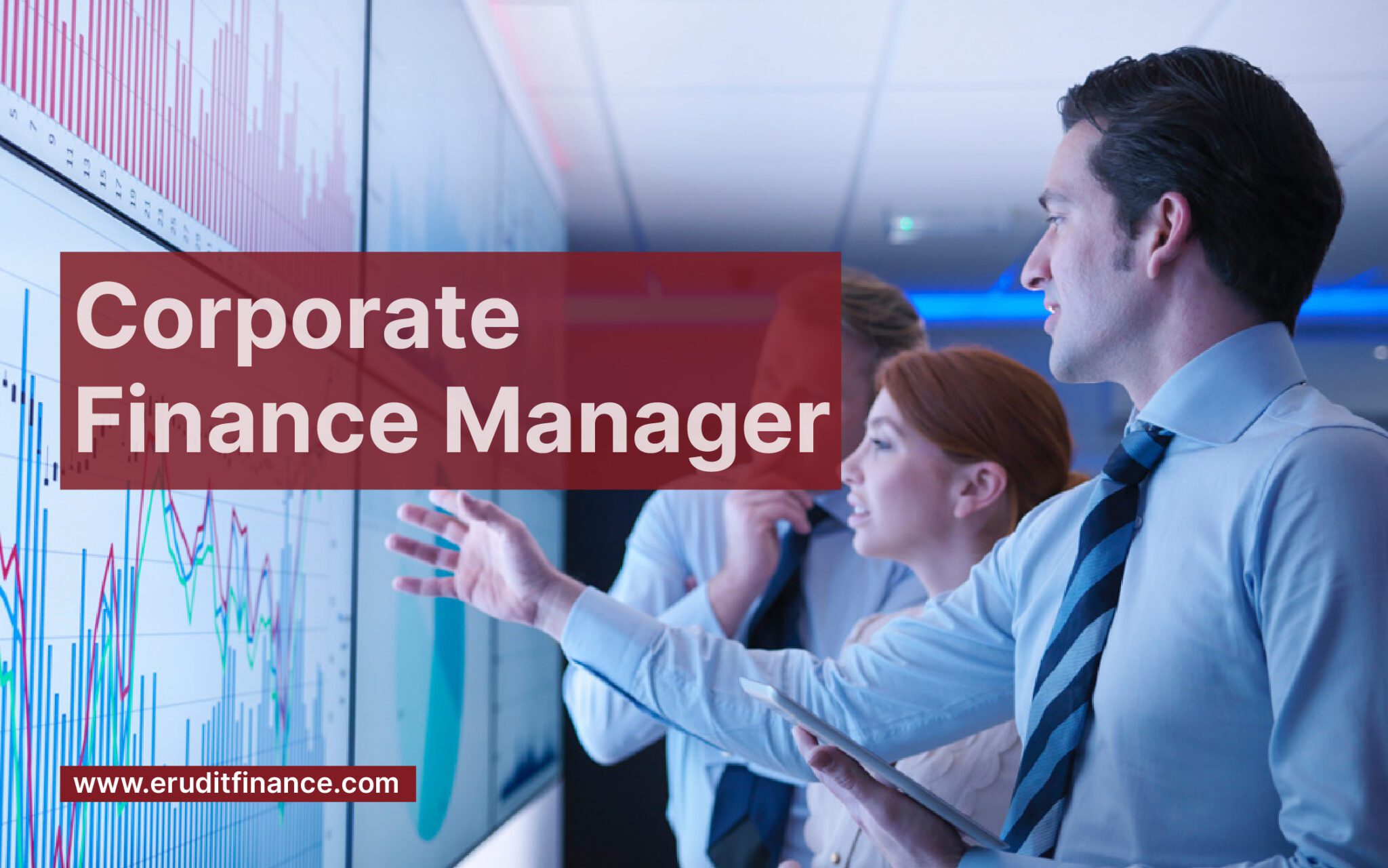 Corporate Finance Manager (7 Roles & Duties)