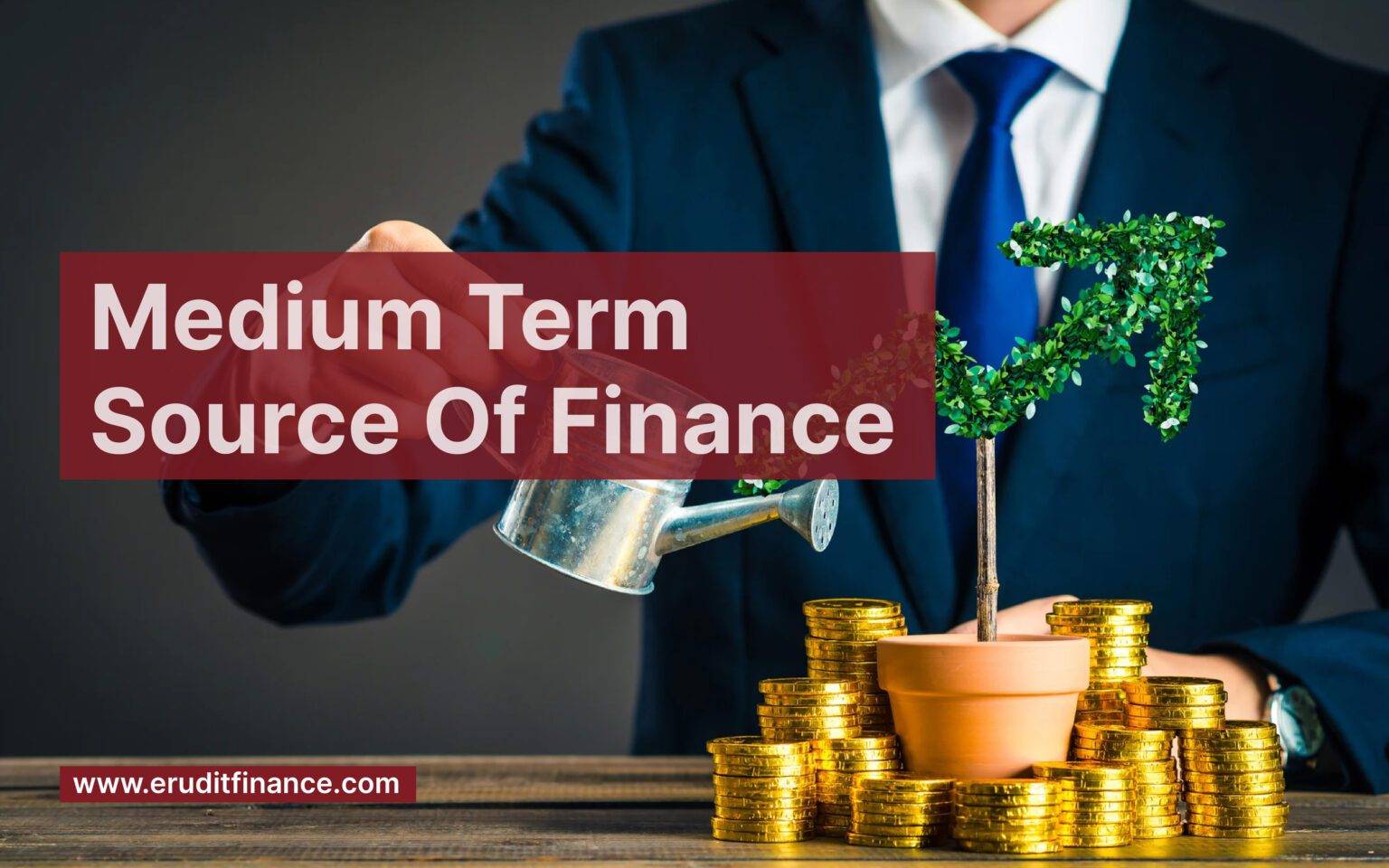 Mid Term Finance (8 Ultimate Uses)